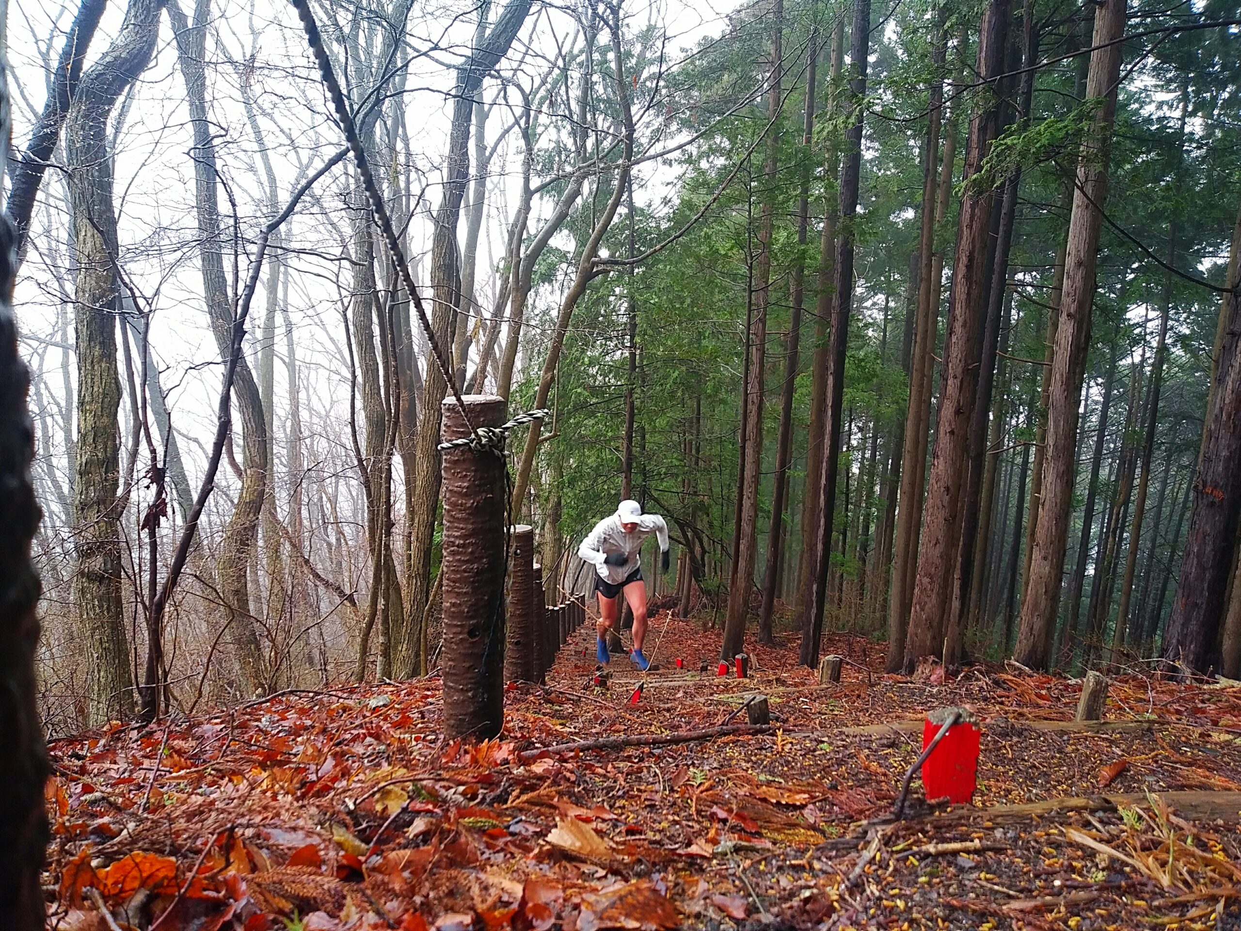 ありがとう春 - Mt.mafu project